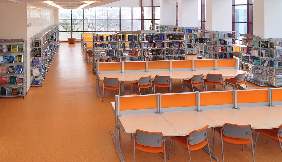 ΣΠΟΥΔΕΣ ΦΑΡΜΑΚΕΥΤΙΚΗΣ ΣΤΗ ΡΟΥΜΑΝΙΑ, ΣΤΟ ΠΑΝΕΠΙΣΤΗΜΙΟ ΤΗΣ ΚΡΑΙΟΒΑ